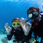Discover Scuba Diving & Beach Club with Transportation In Riviera Maya - Who Will Love This Experience?