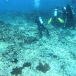 Discover Scuba Diving : Hikkaduwa : Scuba Diving - What’s Included and What’s Not