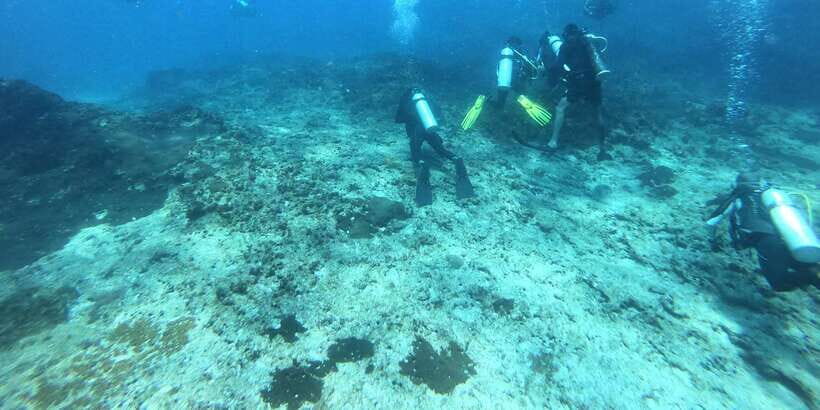 Discover Scuba Diving : Hikkaduwa : Scuba Diving - What’s Included and What’s Not