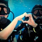 Discover Scuba Diving in Cozumel Paradise Reef - Authentic Experiences and Top Highlights from the Reviews