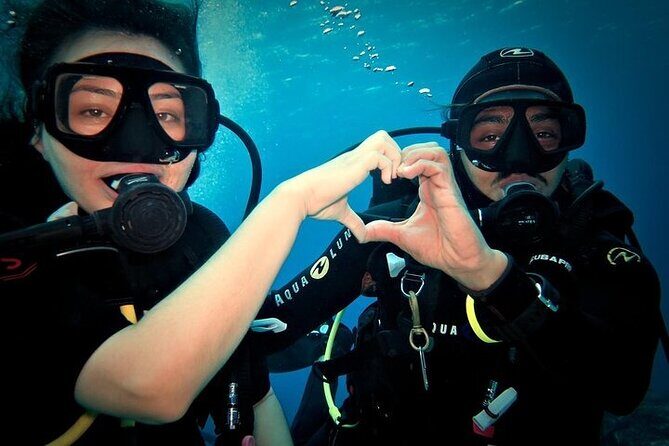 Discover Scuba Diving in Cozumel Paradise Reef - Authentic Experiences and Top Highlights from the Reviews