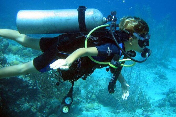 Discover Scuba Diving PADI in Playa del Carmen including underwater video - The Transport and Convenience