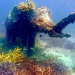 Discover Scuba Diving, try dive for beginners ( Start at Ko Kut) - The Real Experience: Pros and Cons