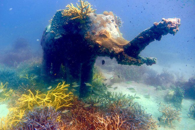 Discover Scuba Diving, try dive for beginners ( Start at Ko Kut) - The Real Experience: Pros and Cons