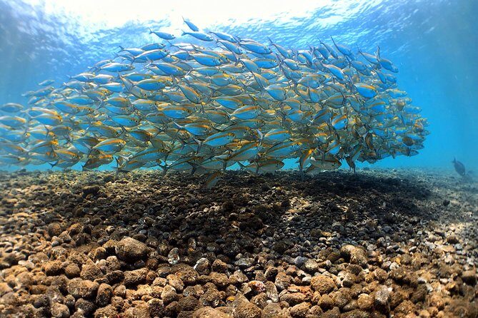 Discover Scuba Diving Tulamben Bali For Non-Certified Divers - Introduction
