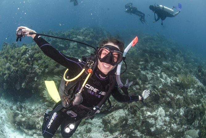 Discover scuba ,MUSA and Manchones reef dive without license - The Dive Sites: MUSA & Manchones Reef