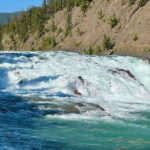 Discover the Best of Banff: Lakes, Mountains, Gondola Ride - Who Will Love This Tour?