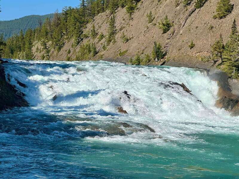 Discover the Best of Banff: Lakes, Mountains, Gondola Ride - Who Will Love This Tour?