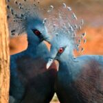Discover the Enchanting Birds Park in Hambantota - Who Will Love This Tour?