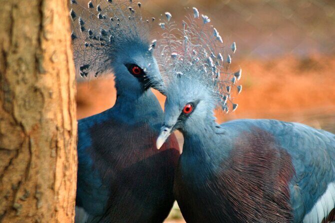 Discover the Enchanting Birds Park in Hambantota - Who Will Love This Tour?