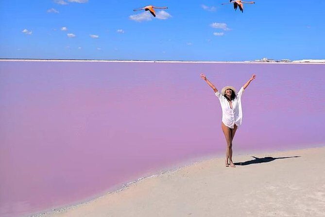 Discover the FABULOUS PINK WATERS in the Caribean - Who Will Love This Tour?