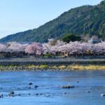 Discover the Highlights in Kyoto & Nara in 3 DAYS ! - Why Choose This Tour?