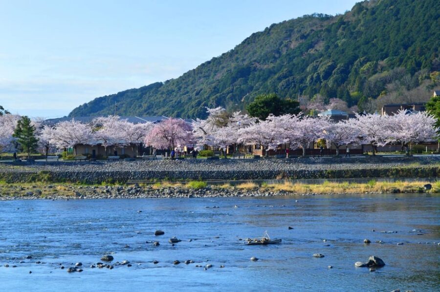 Discover the Highlights in Kyoto & Nara in 3 DAYS ! - Why Choose This Tour?