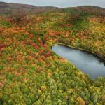 Discover the Monteregie Landscape Helicopter Tour - What to Expect During Your Flight