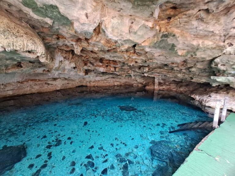 Discover the Serenity: A Tour of the Hidden Cenotes (PVT) - The Big Picture