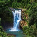 Discover Ubud: Exotism Ubud and Optional Meet the Bali Shaman - A Detailed Look at the Itinerary