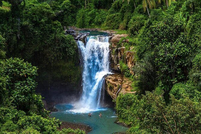 Discover Ubud: Exotism Ubud and Optional Meet the Bali Shaman - A Detailed Look at the Itinerary