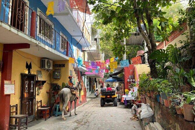 Discover Yelapa Fishing Village - Authenticity and the Local Experience
