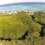 Discovering Breathtaking Cenotes in Tulum - Evaluating Value and Booking in Advance