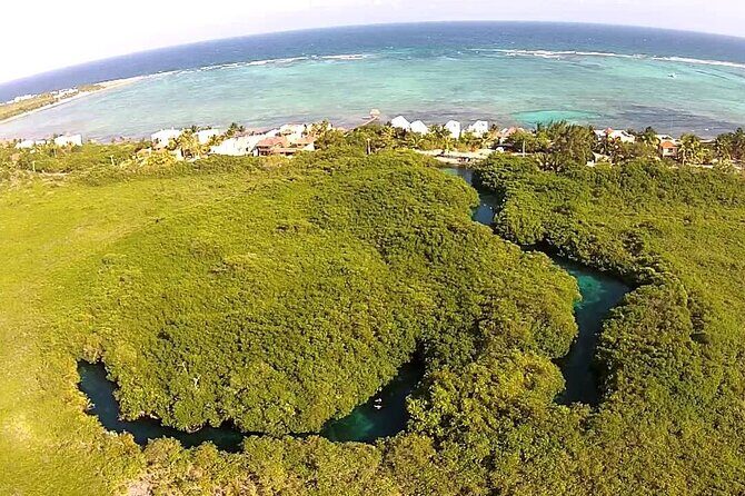 Discovering Breathtaking Cenotes in Tulum - Evaluating Value and Booking in Advance