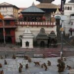 Discovering Kathmandu: Full-Day City Highlights Bus Tour - Practical Tips for Travelers