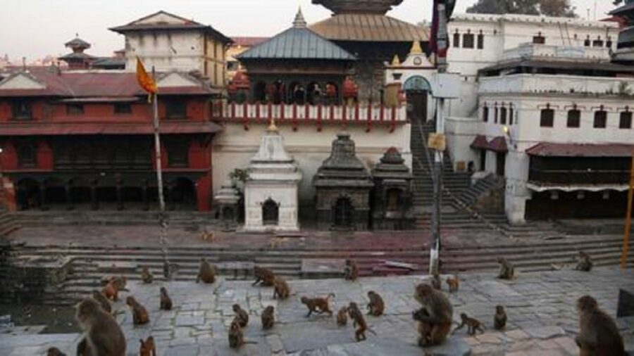 Discovering Kathmandu: Full-Day City Highlights Bus Tour - Practical Tips for Travelers
