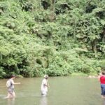 Discovery Bush Walk from Port Vila - Who Will Appreciate This Tour?