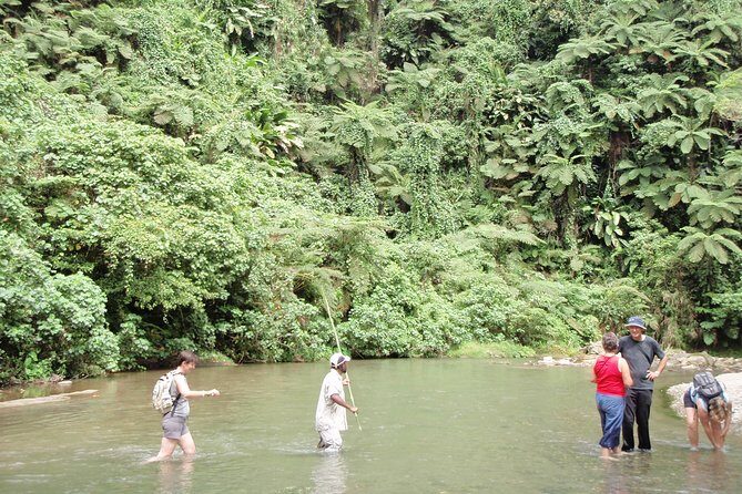Discovery Bush Walk from Port Vila - Who Will Appreciate This Tour?