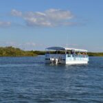 Discovery Dolphin Boat Tour - The Itinerary — What Makes It Special