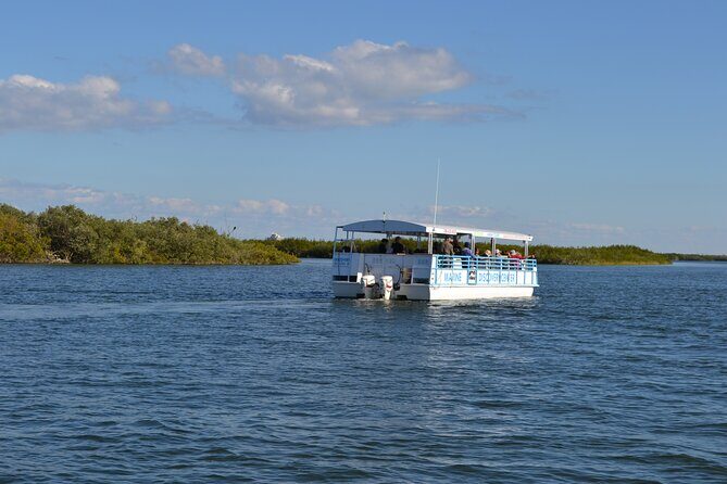 Discovery Dolphin Boat Tour - The Itinerary — What Makes It Special