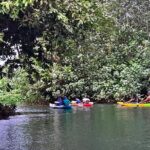 Discovery in Kayaking of the Faaroa River in Raiatea - Authentic Encounters and Cultural Elements