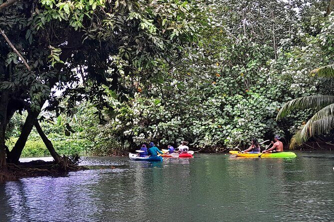 Discovery in Kayaking of the Faaroa River in Raiatea - Authentic Encounters and Cultural Elements