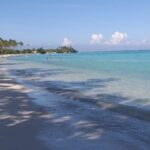 Discovery of Tahiti Nui Island - Who is This Tour Best For?