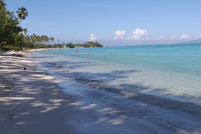 Discovery of Tahiti Nui Island - Who is This Tour Best For?