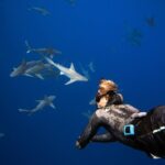 Dive with Sharks in Hawaii: Shark Tour from Haleiwa - Authentic Experiences from Participants