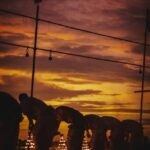 Divine Dusk: The Pashupatinath Evening Aarti Private Tour - Why Is It Worth the Price?