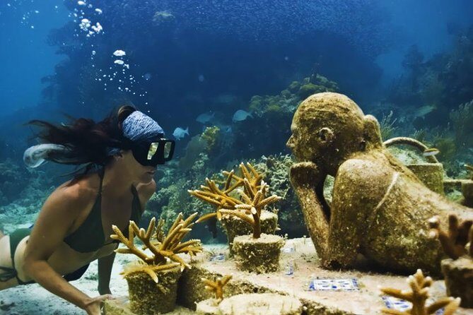 Diving + Muse - Is It Worth the Money?