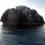 Diving Tour for Certified Divers: Sail Rock or Koh Tao - Why This Tour Works Well for Certain Travelers