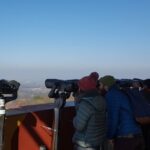 DMZ & Gondola & Suspension Bridge Full Day From Seoul - A Closer Look at the Itinerary and Experience