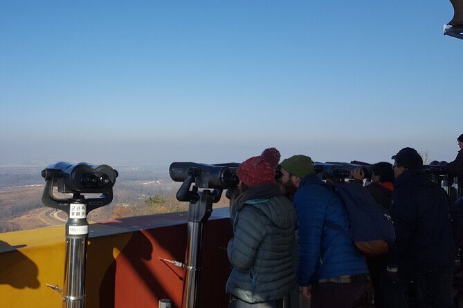 DMZ & Gondola & Suspension Bridge Full Day From Seoul - A Closer Look at the Itinerary and Experience