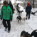 Dog Sledding - What’s Included and What You Should Know