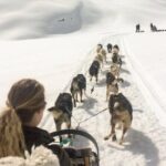 Dog Sledding and Animal Encounters Tour from Anchorage - Who Should Consider This Tour?
