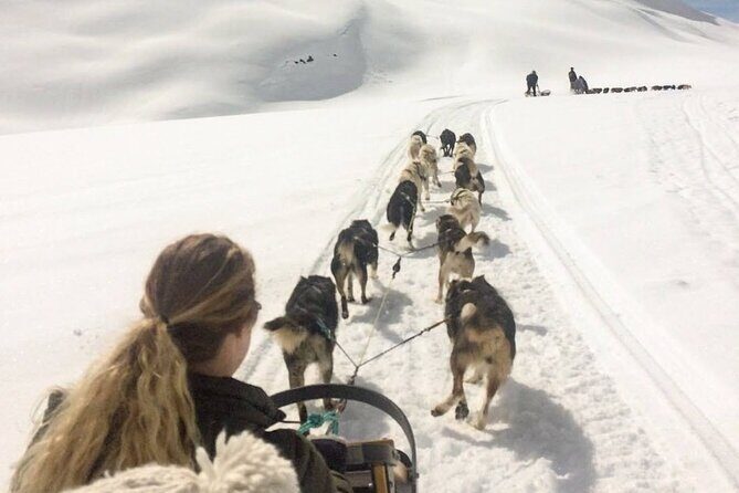 Dog Sledding and Animal Encounters Tour from Anchorage - Who Should Consider This Tour?
