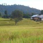 Doi Inthanon National park and 2 hours hiking with private tour - The Itinerary: A Deep Dive