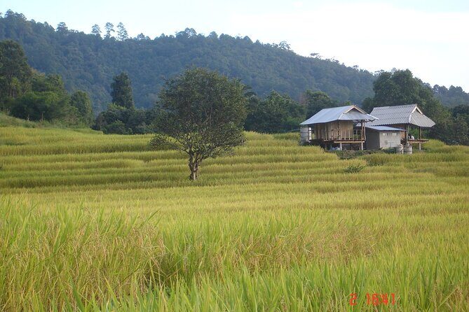 Doi Inthanon National park and 2 hours hiking with private tour - The Itinerary: A Deep Dive