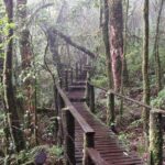 Doi Inthanon National Park - Thailand's Highest Peak - What Makes This Tour Stand Out