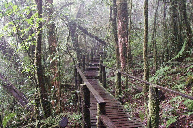Doi Inthanon National Park - Thailand's Highest Peak - What Makes This Tour Stand Out
