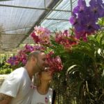 Doi Suthep Temple and Bau Thong Waterfalls Private Tour - Practical Notes for Travelers