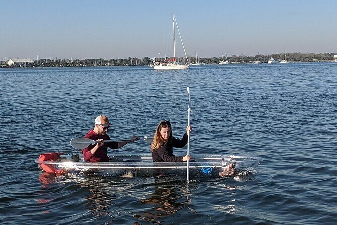 Dolphin and Manatee Clear Kayak or Paddleboard Tour - Who Will Love This Tour?