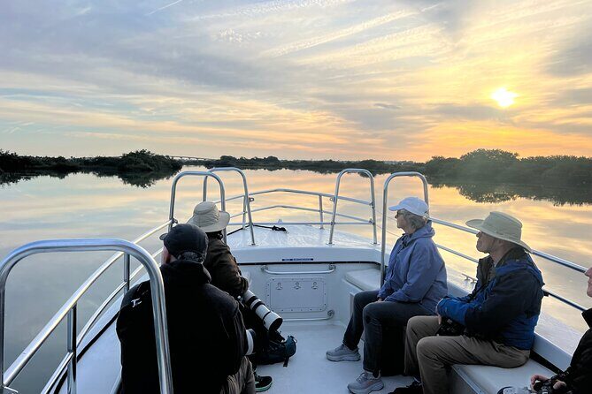 Dolphin and Nature Boat Excursion - An In-Depth Look at the Dolphin and Nature Boat Excursion